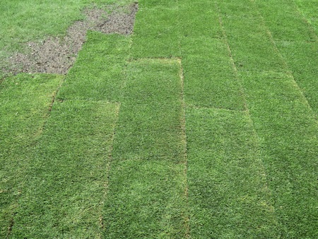 Sod Installation Phoenix AZ | Chips Tree Service
